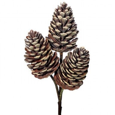 12" PICK PLASTIC PINE CONE X3 NATURAL | Madisonville Christmas
